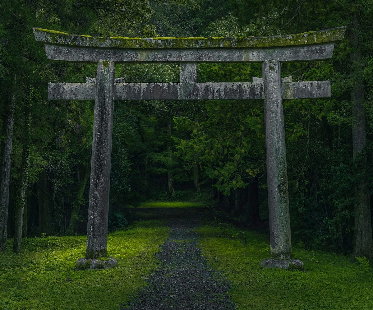 Sean Brecht Photography | Sean Brecht Photography