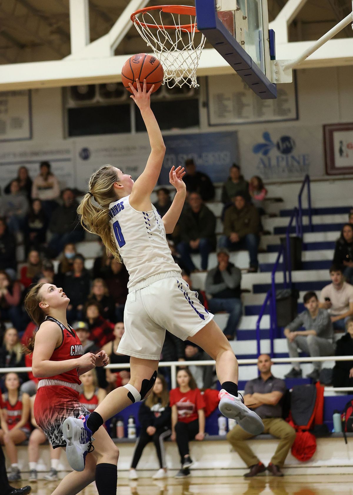 RD Sports Photo Basketball Portfolio