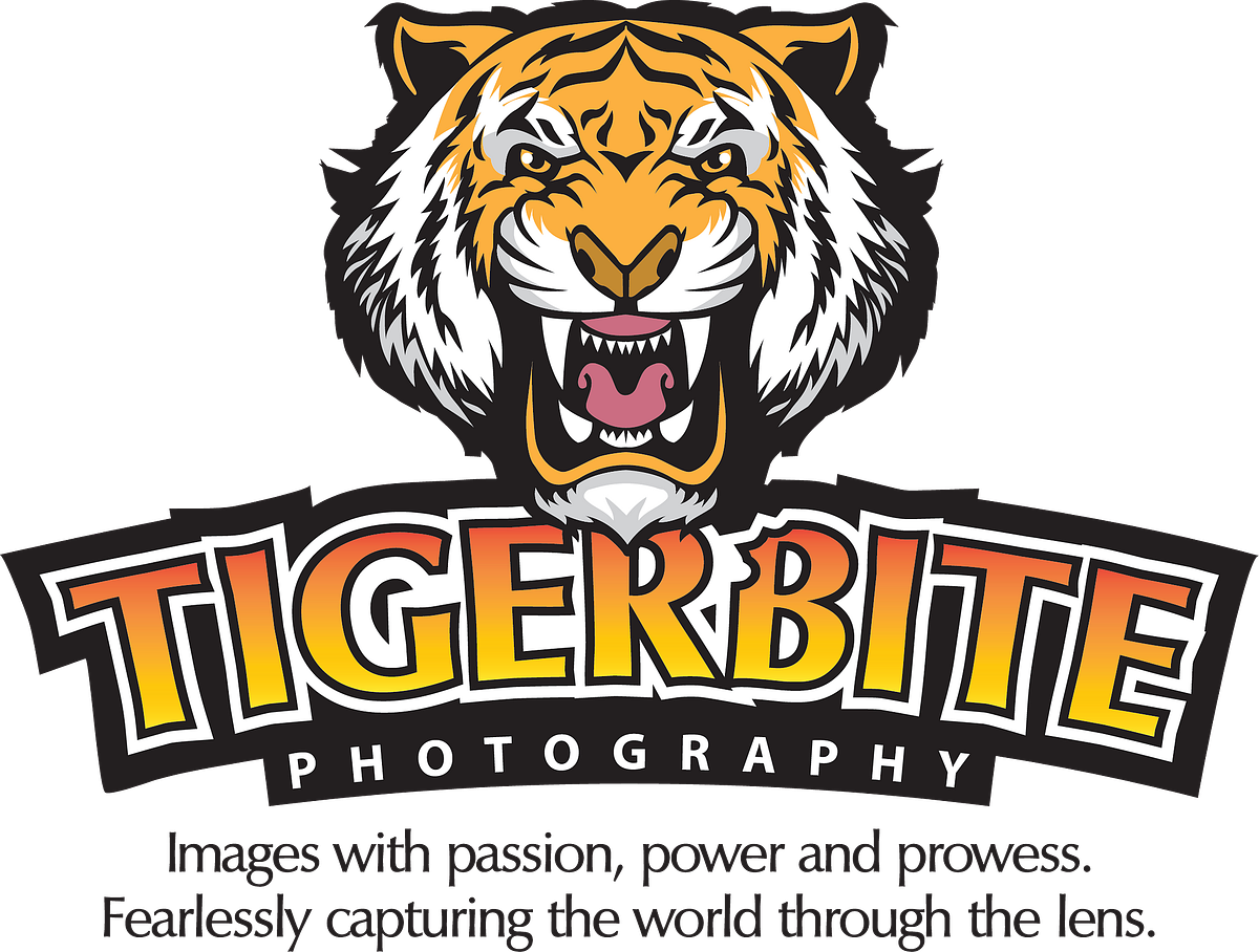 Tiger Bite Photography