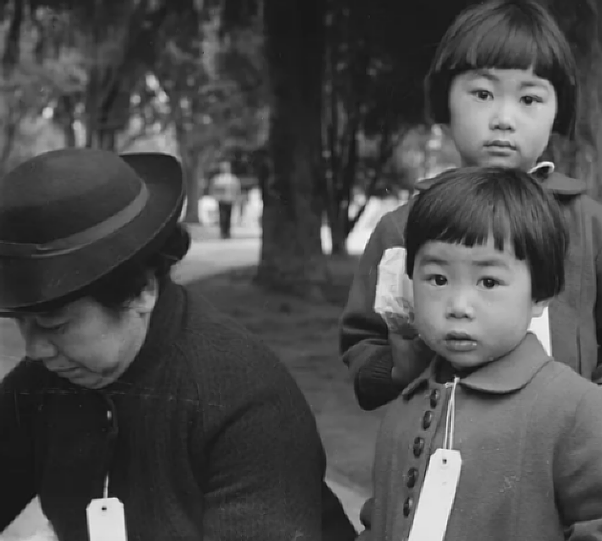 The Power of Family Narratives: Building Resilience for Multi ...