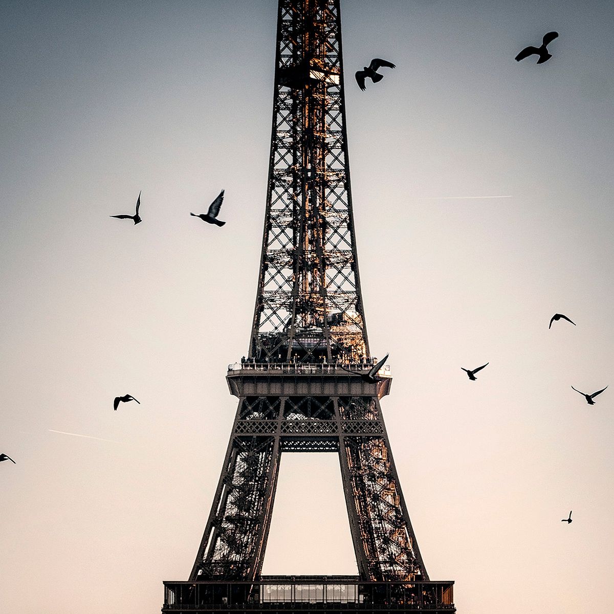 Sean Weaver Photography | Paris to London