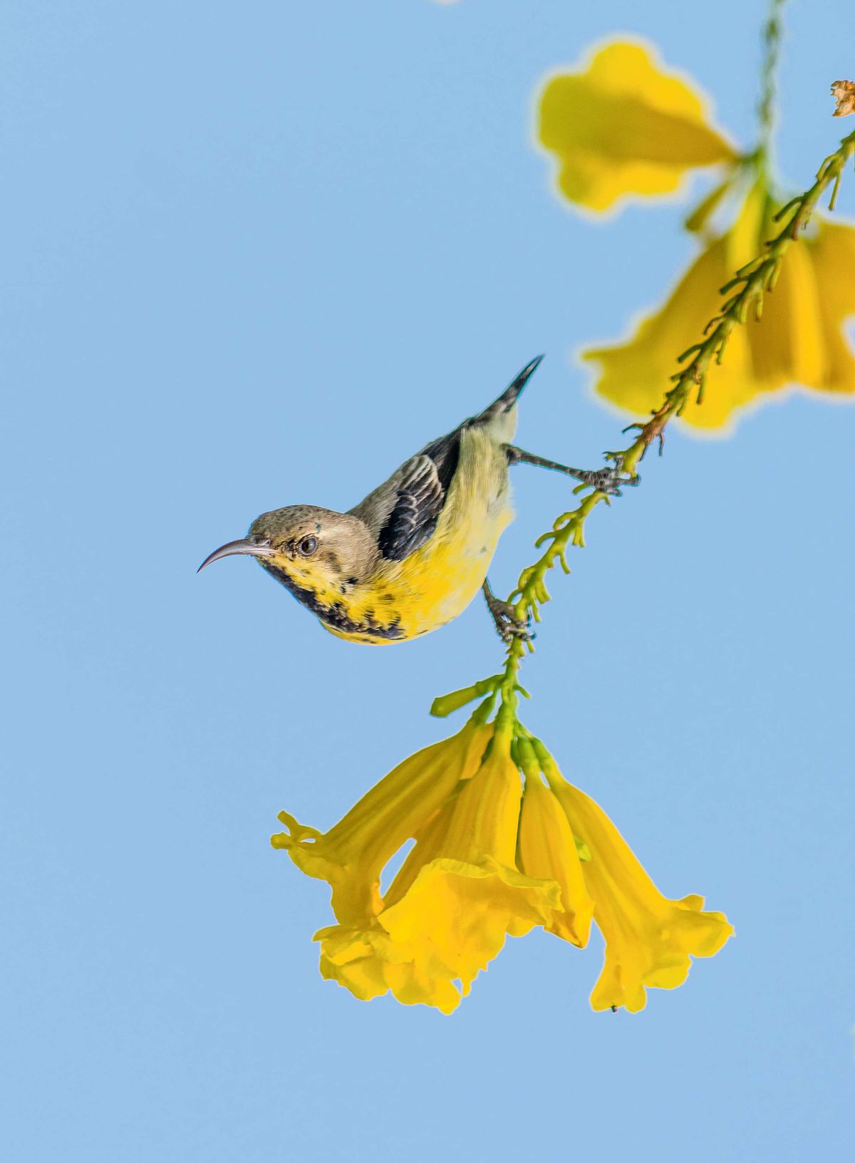 Photography Growth: Improve 1% Every Day