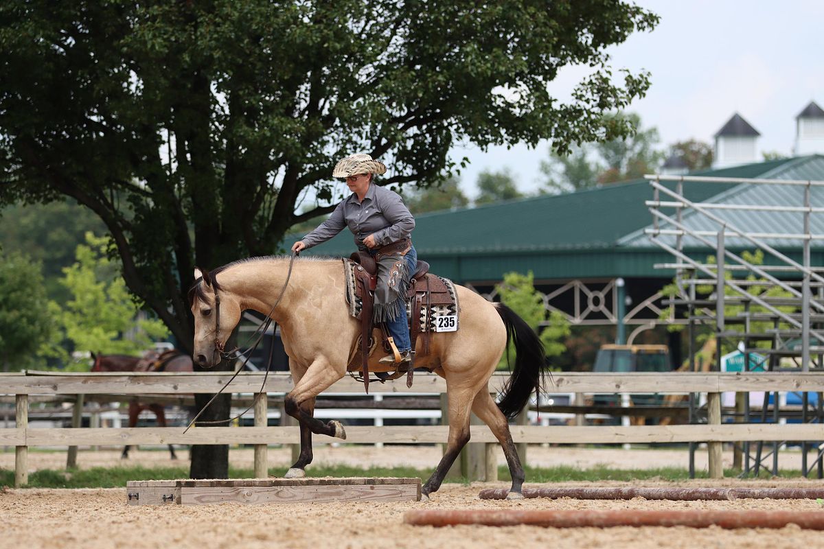 MWHA Show Pictures - Maryland Western Horse Association