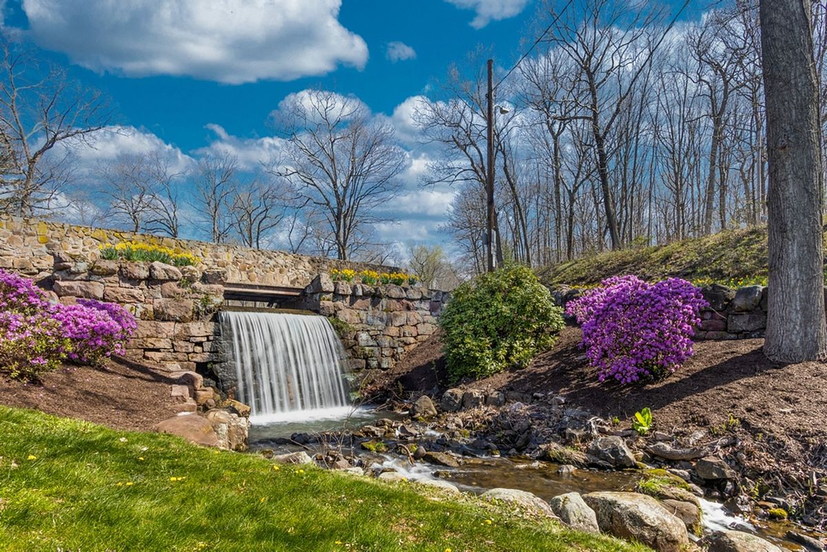 Hubbard Park - Meriden, CT.