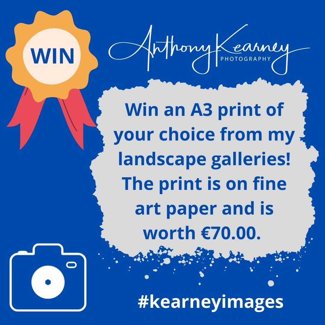 Competition Time | ANTHONY KEARNEY PHOTOGRAPHY
