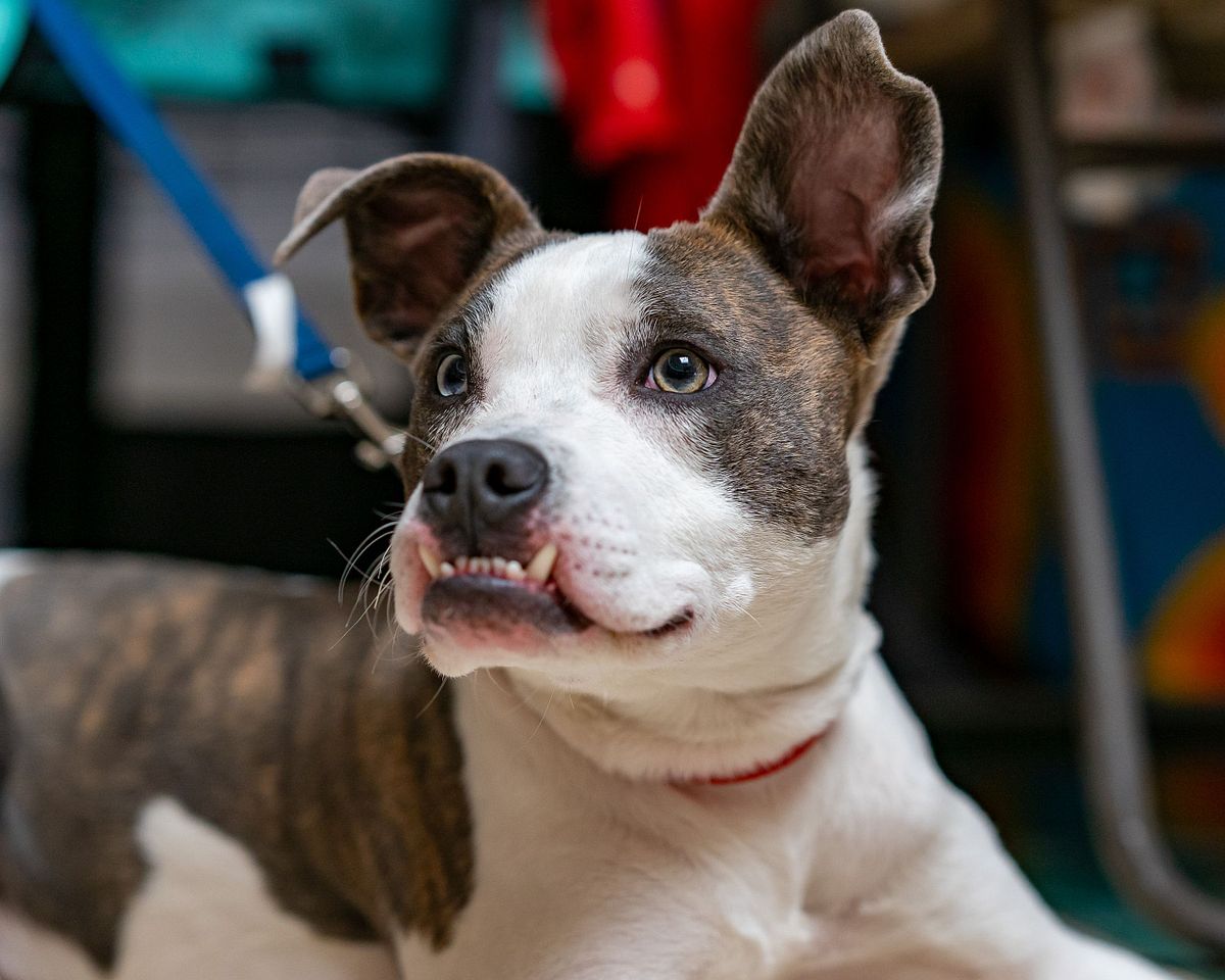 2Lazy2Run Photography - Barry Rauhauser