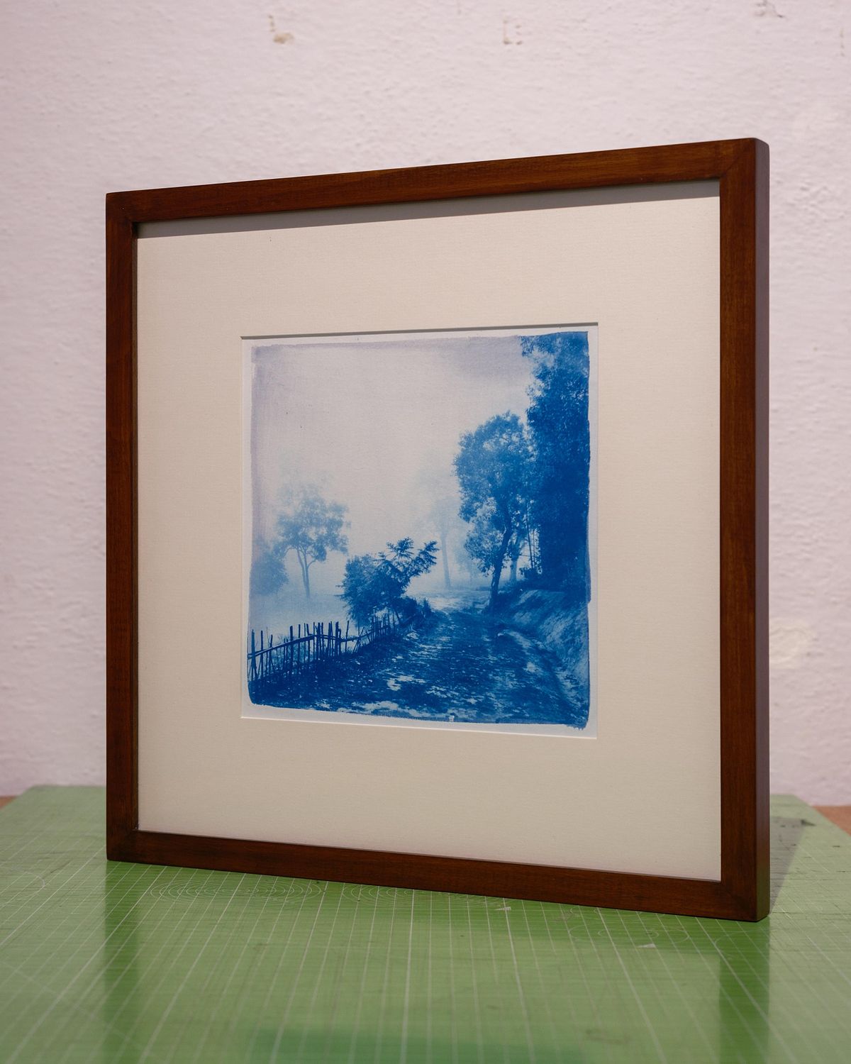 Cyanotypes of the Western Ghats