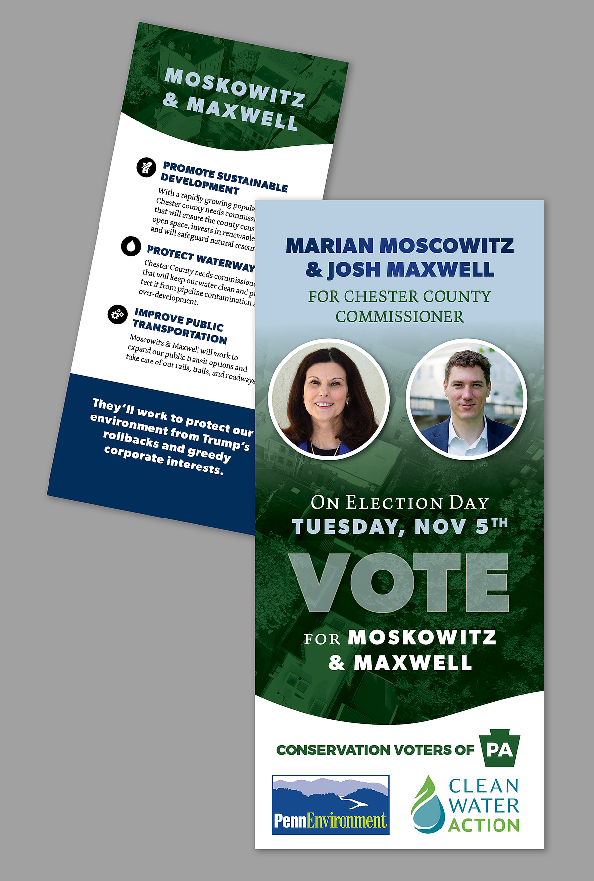 Political Literature | Amelia Abromaitis