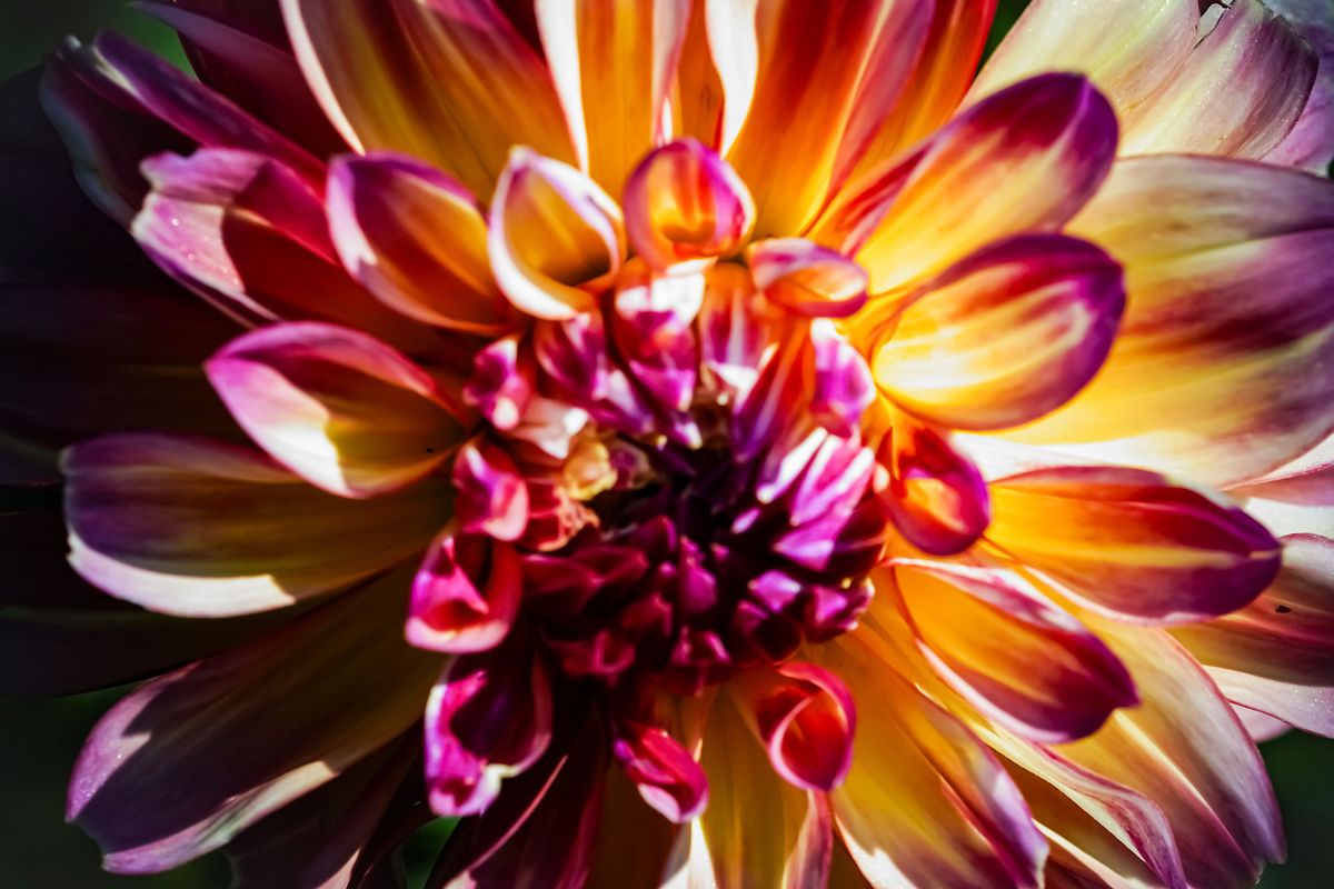 Licensing & Interior Prep List | Constance Ross Photography & Edible ...