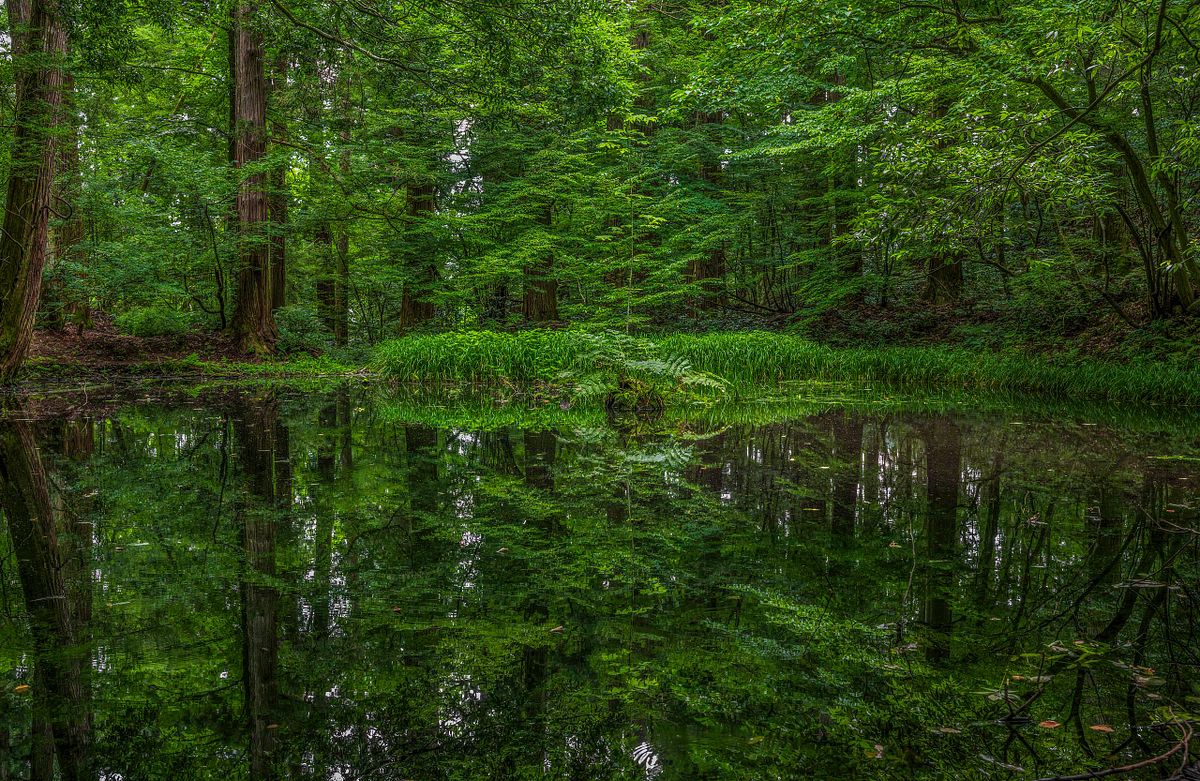 Sean Brecht Photography | Sean Brecht Photography