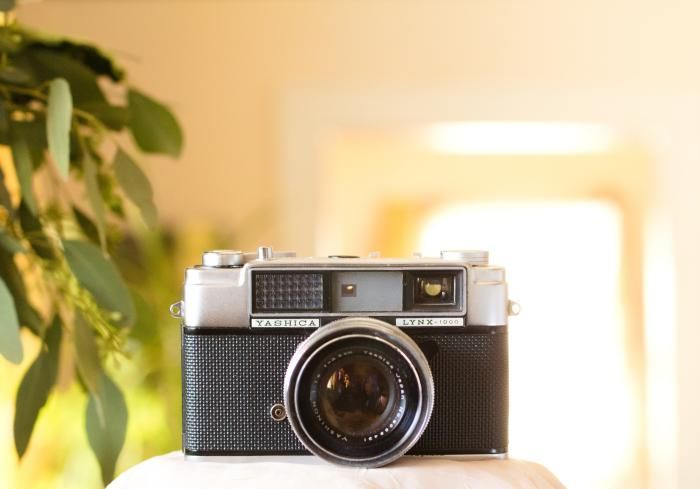 Almi Johnson Photographer's Blog Eagle River