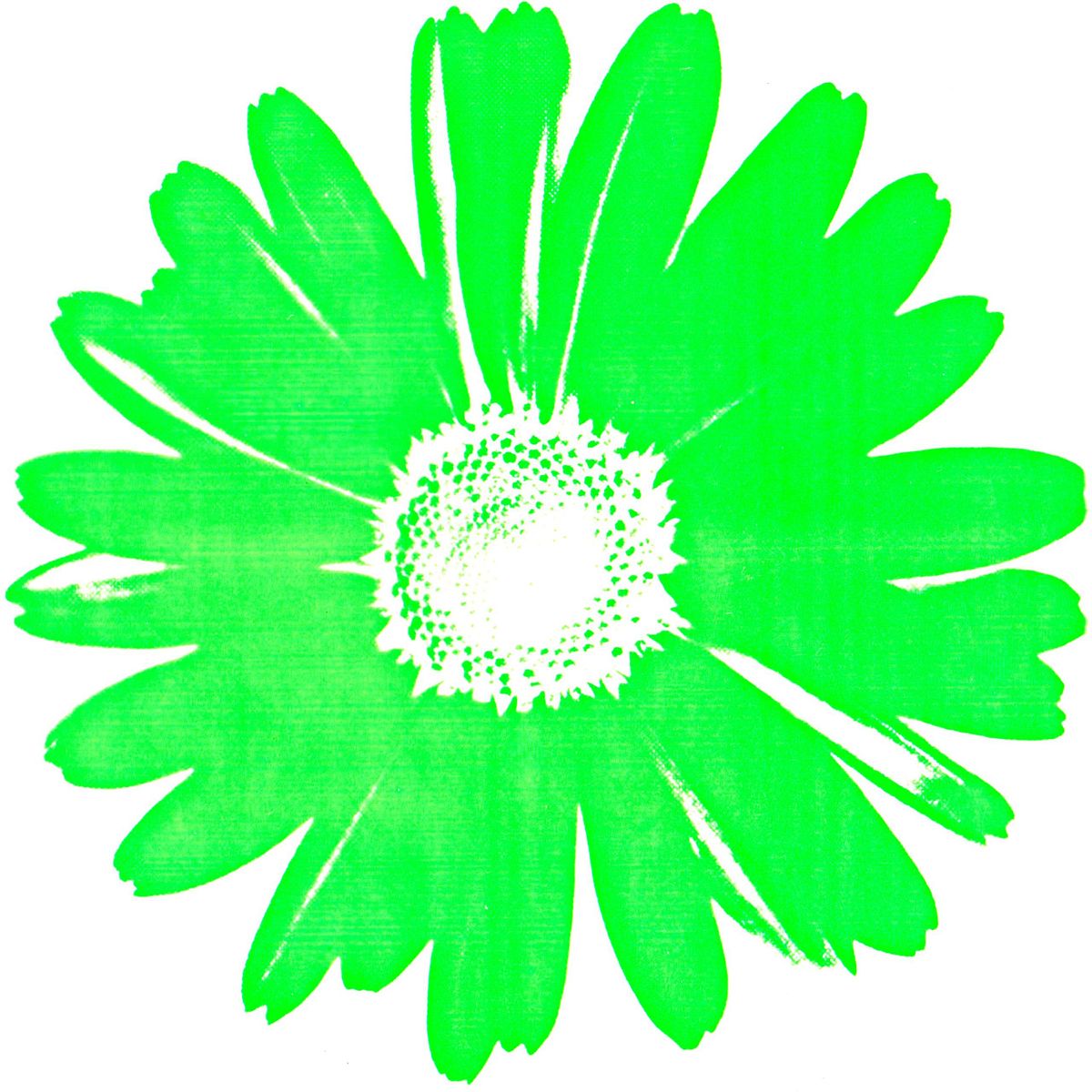 Explore My Creative Portfolio | Elizabeth Barnes Art