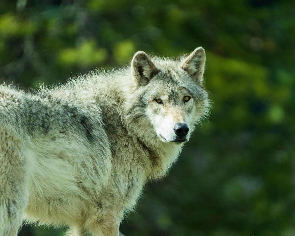 Tom Healy Photography